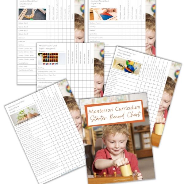 Montessori Botany works to prioritize