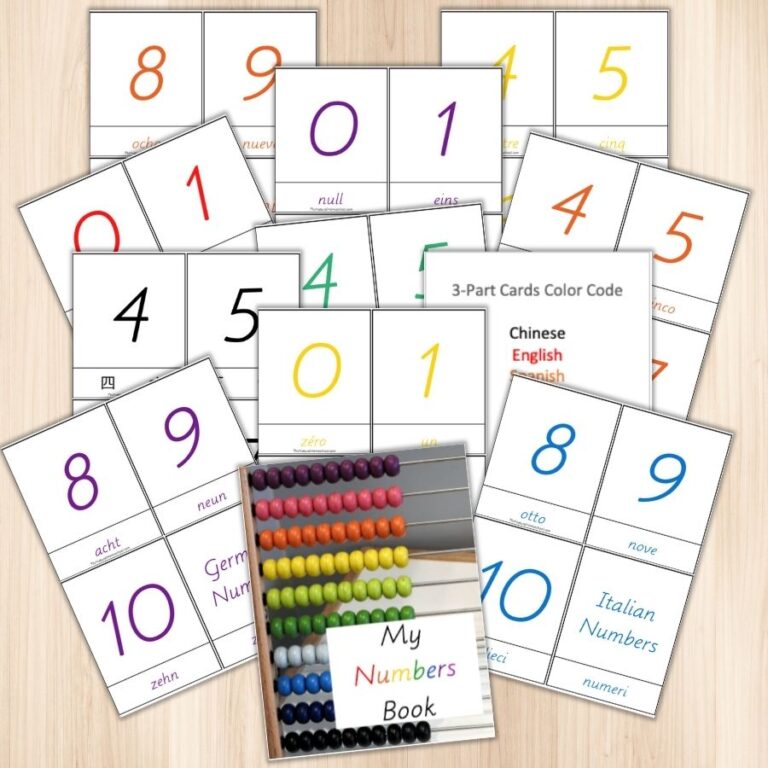 An Introduction to Montessori 3-Part Cards - Master the Montessori Life