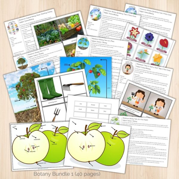 Montessori Botany works to prioritize