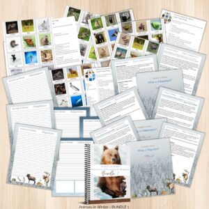 Introduce Hibernation, Migration and Adaptation to Children - Master ...